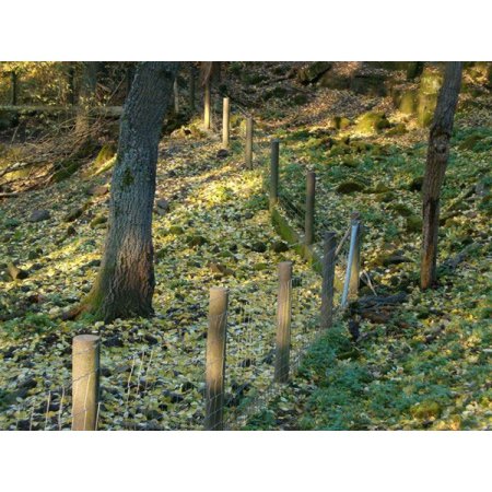 Poutre ronde d.8,0 cm avec pointe - Accueil - Sans titre